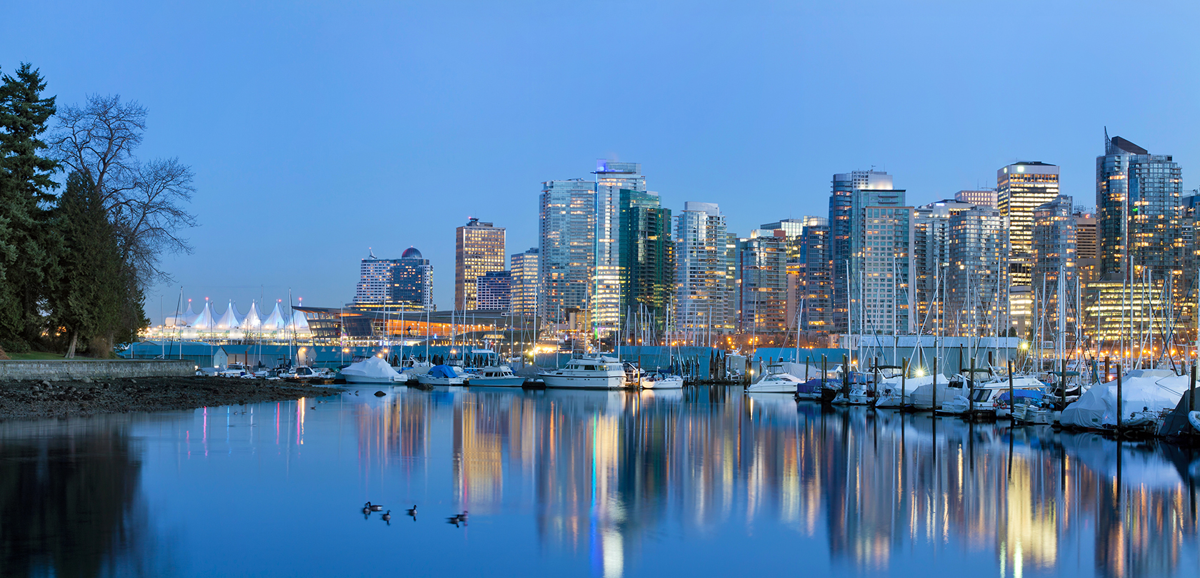 Marcus Lai & Mandy Wu Wealth Management - Home