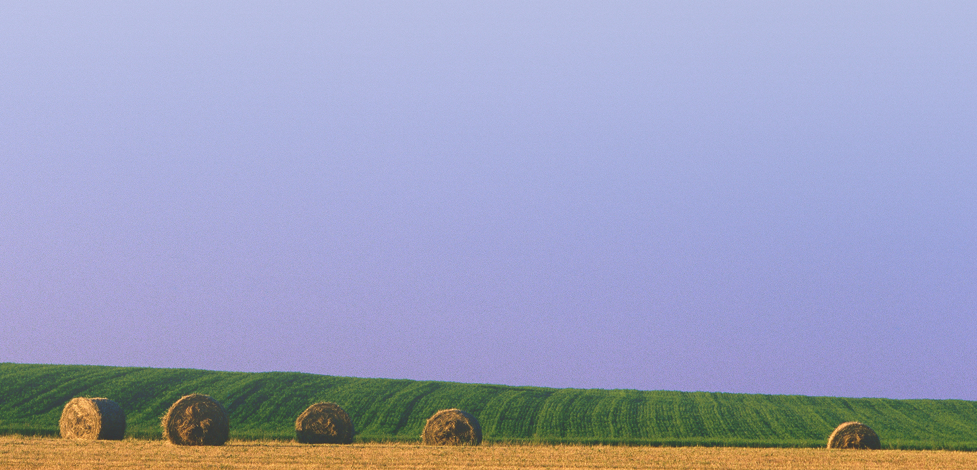 Aman Pandher - Our Process