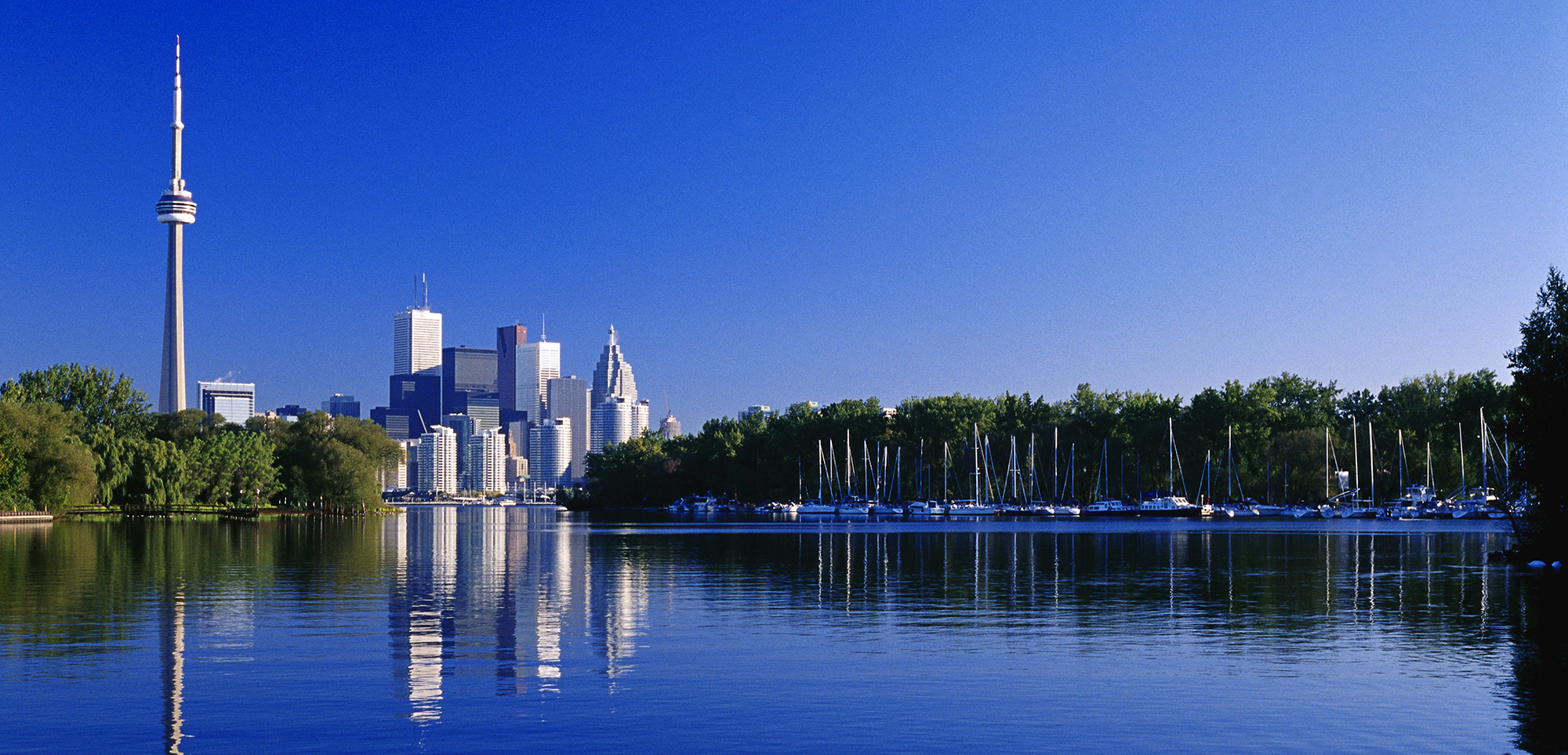 Nick Sacchetti - Meet the team