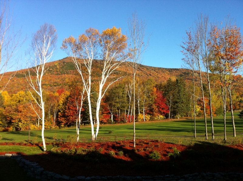 Denis Ruel - Accueil