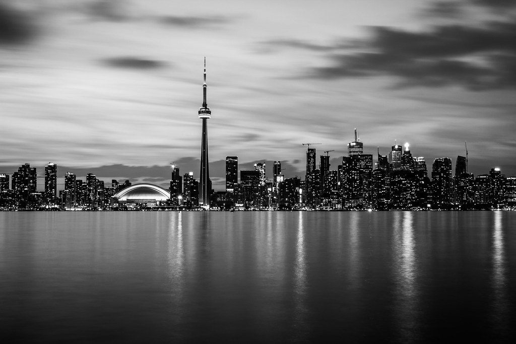 Anthony Galluzzo - Meet the Team