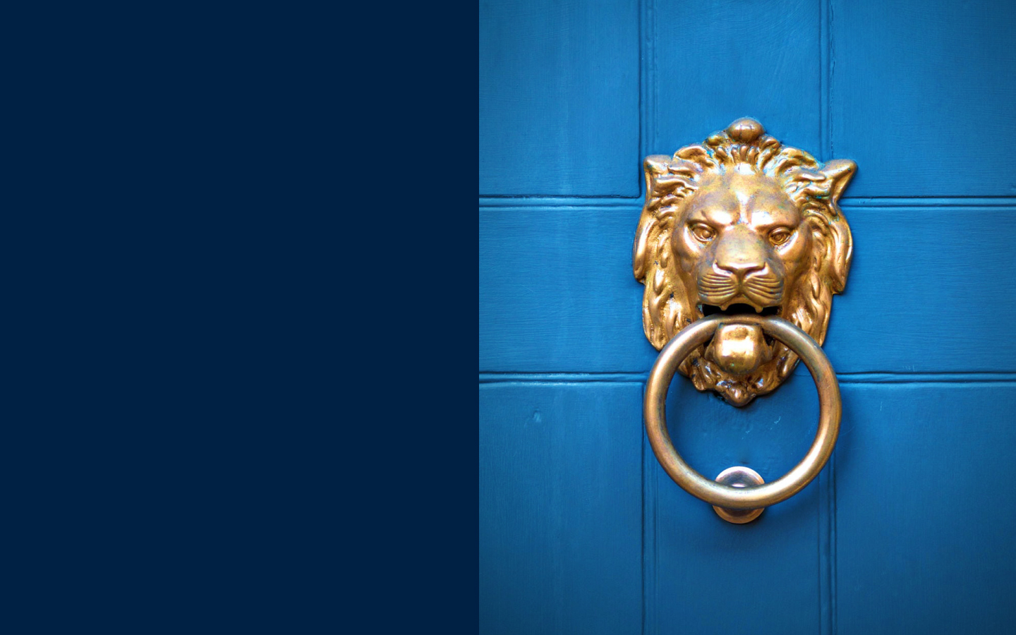 Canada’s leader in wealth management | RBC Dominion Securities