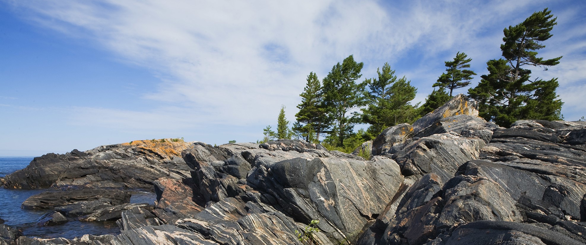 Matthew Whittle (MBA, CFA) | RBC Wealth Management | Home