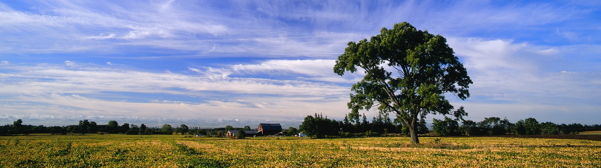 Matthew Whittle - Healthcare professionals