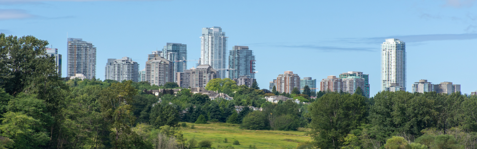 RBC Dominion Securities Burnaby, BC - Our management