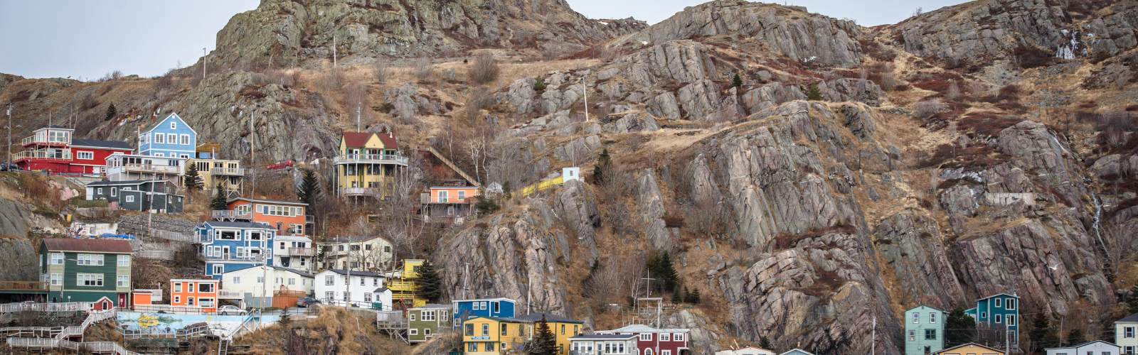 St. John's Branch of RBC Dominion Securities Inc. | Insights