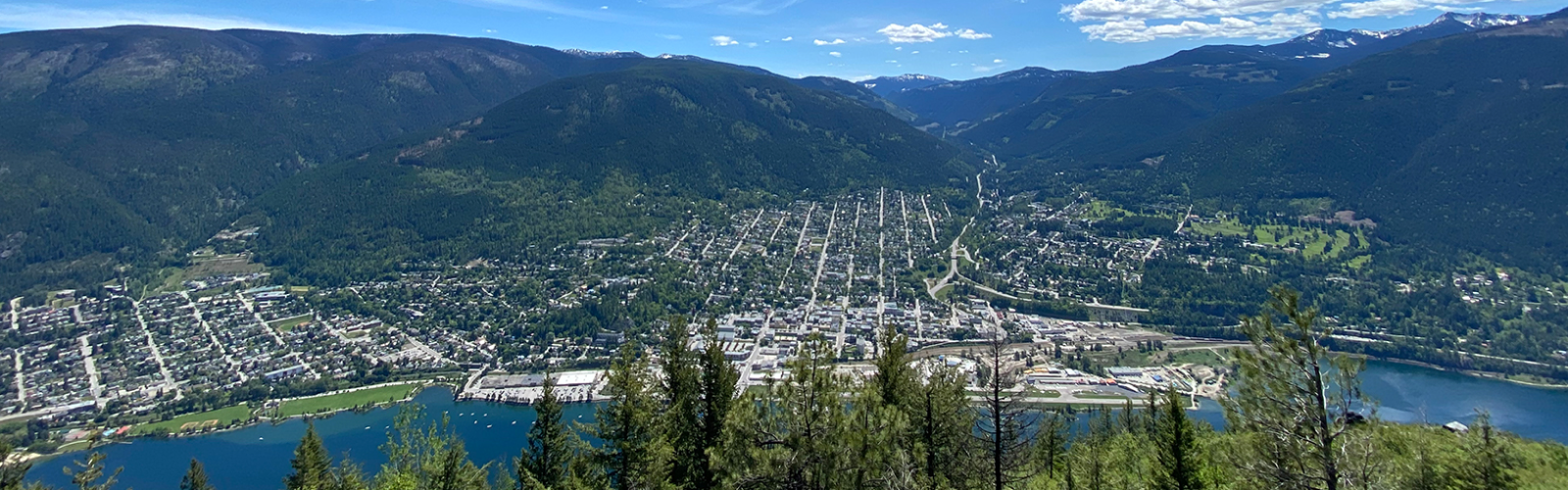 RBC Dominion Securities Nelson, BC - Management team