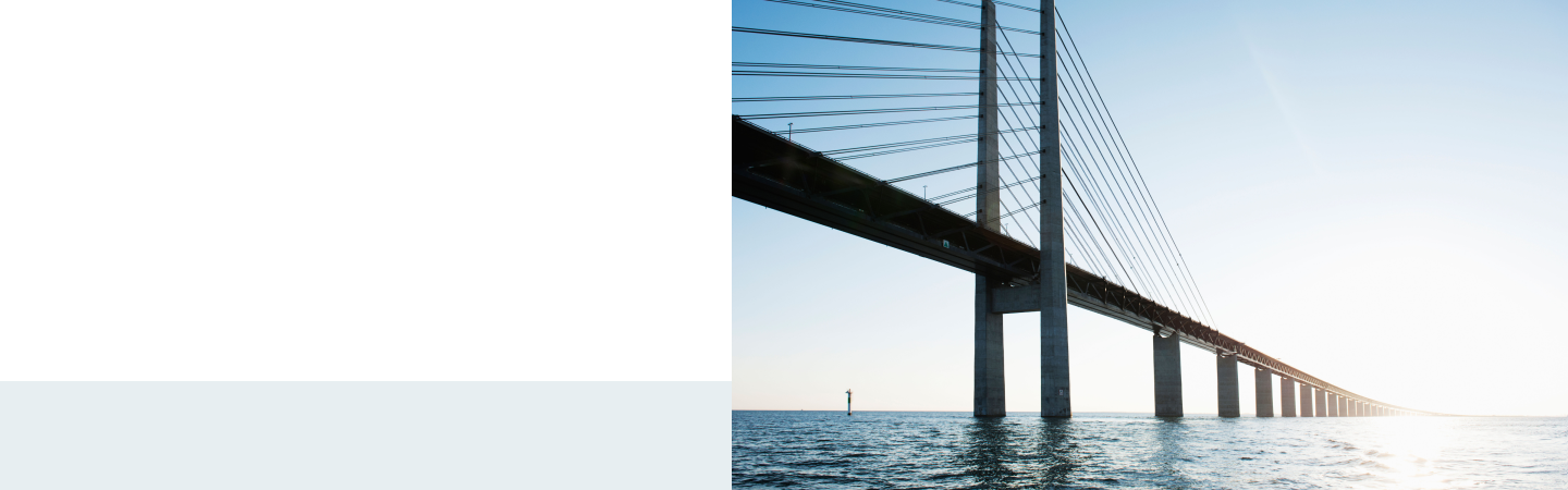 Notre équipe | Paradis Plourde & Associés | RBC DVM | Hélène Paradis ...