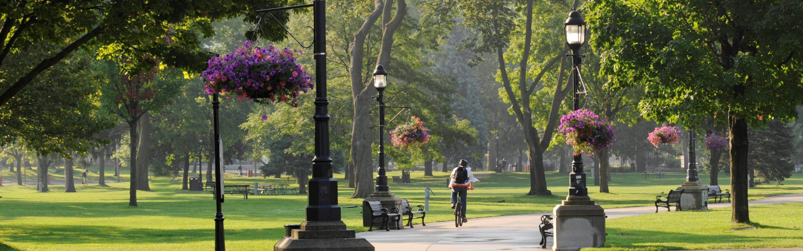 London Branch of RBC Dominion Securities Inc. | Management team