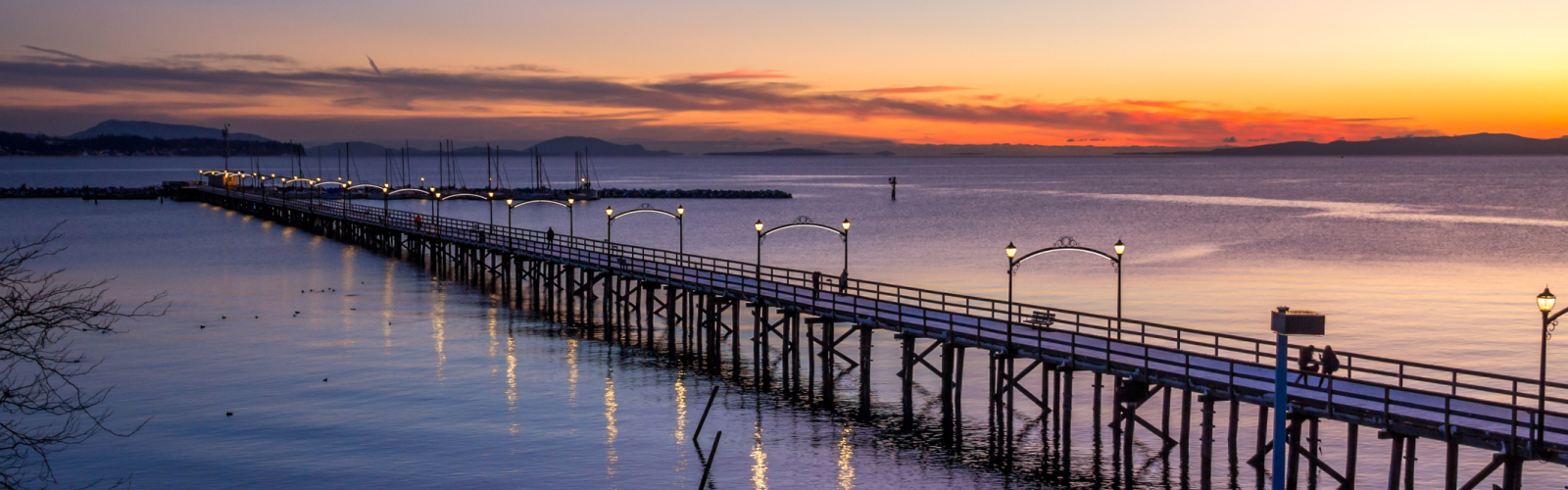 RBC Dominion Securities White Rock, BC - Our management