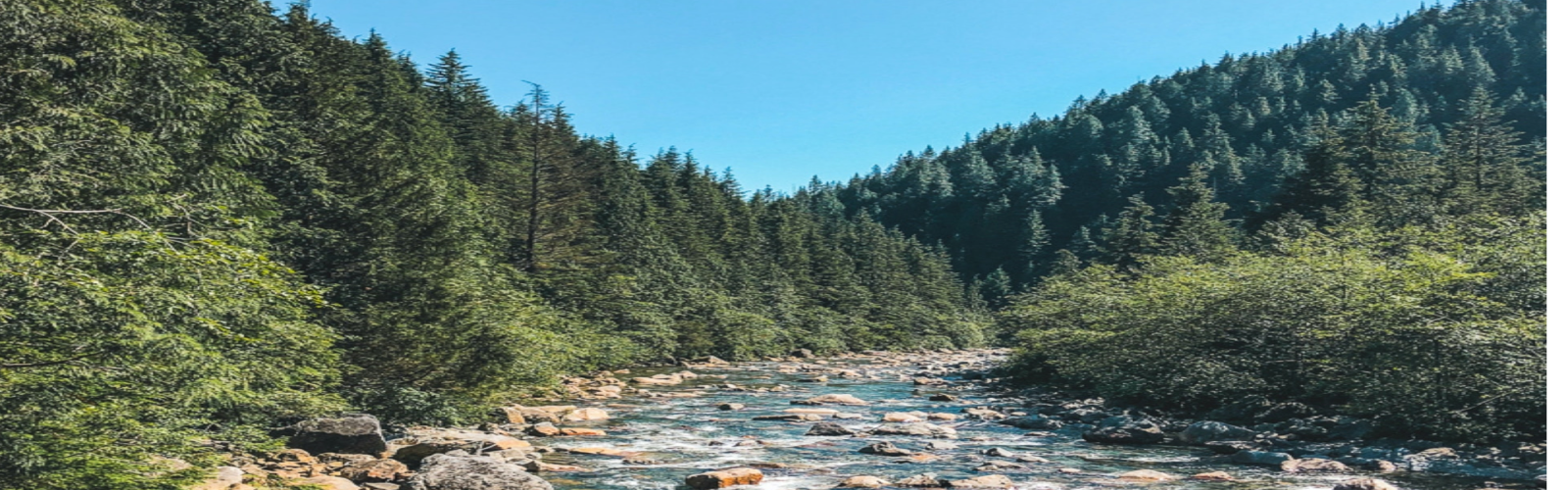 RBC Dominion Securities Maple Ridge, BC - Our advisors