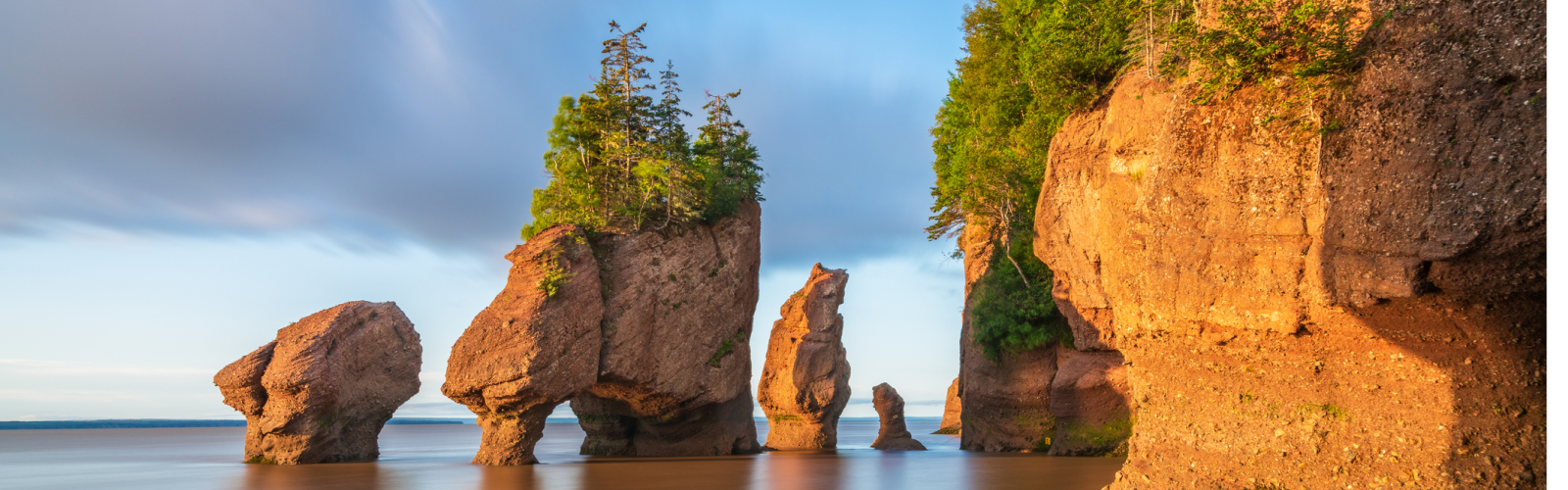 Moncton Branch of RBC Dominion Securities Inc. | Our advisors