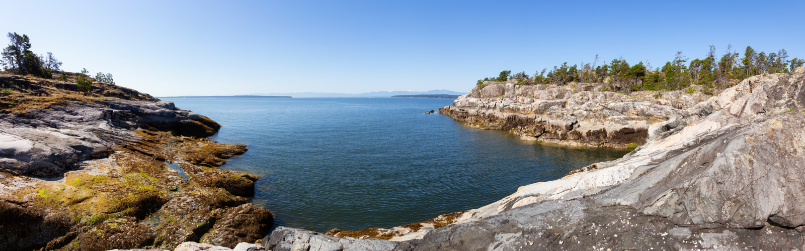 RBC Dominion Securities Sechelt, BC - Management team