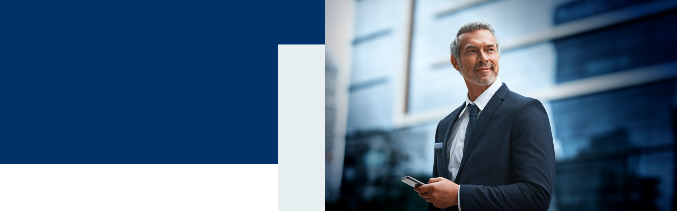 Dark theme demo - Business owner services