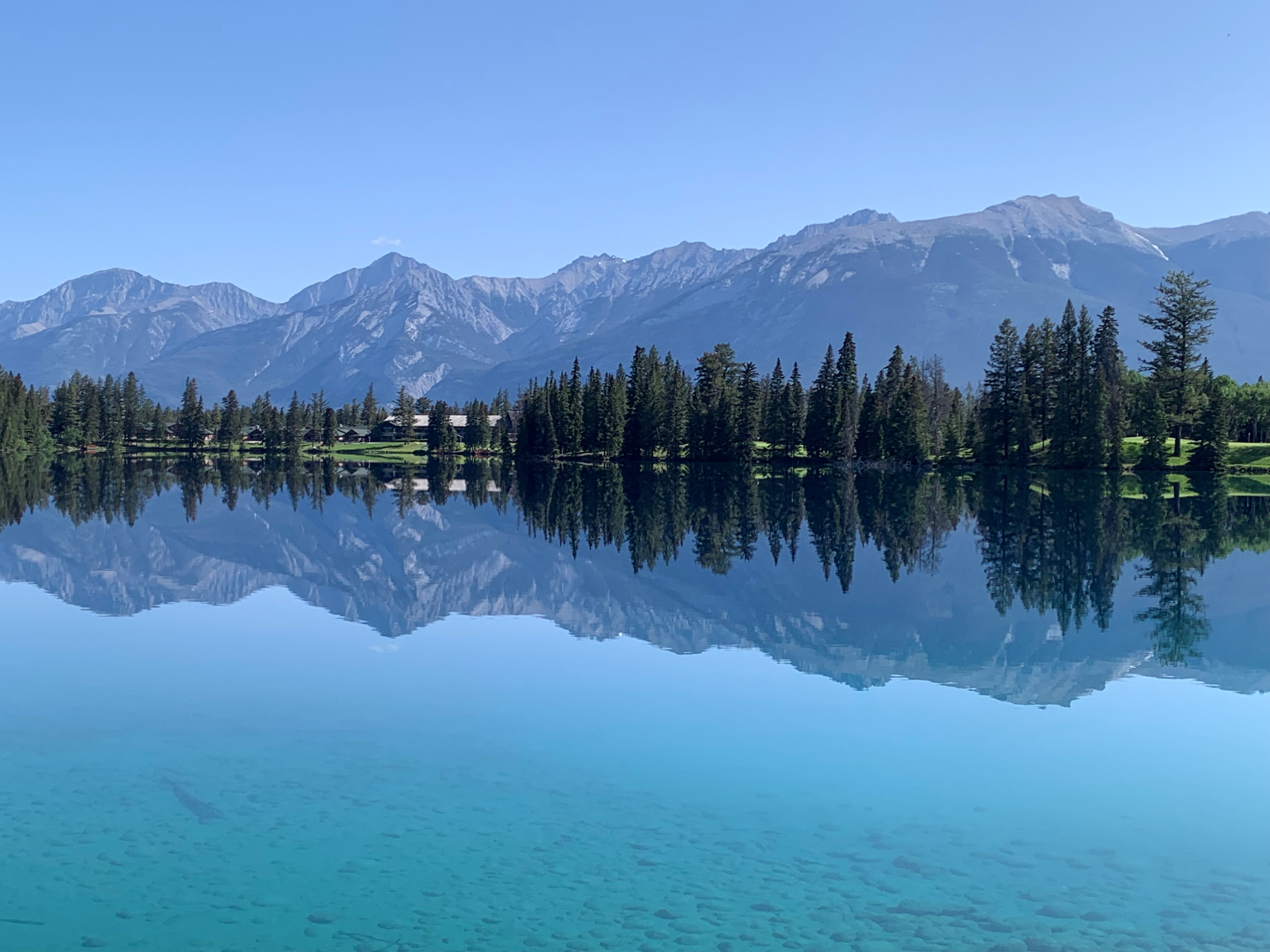 AMB Wealth Management Group of RBC Dominion Securities Inc.