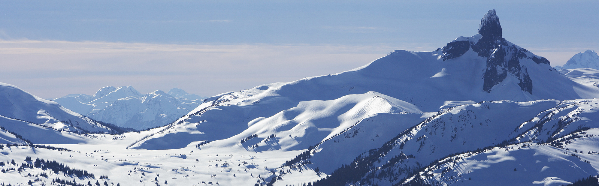 Loris Rizzardo - Home