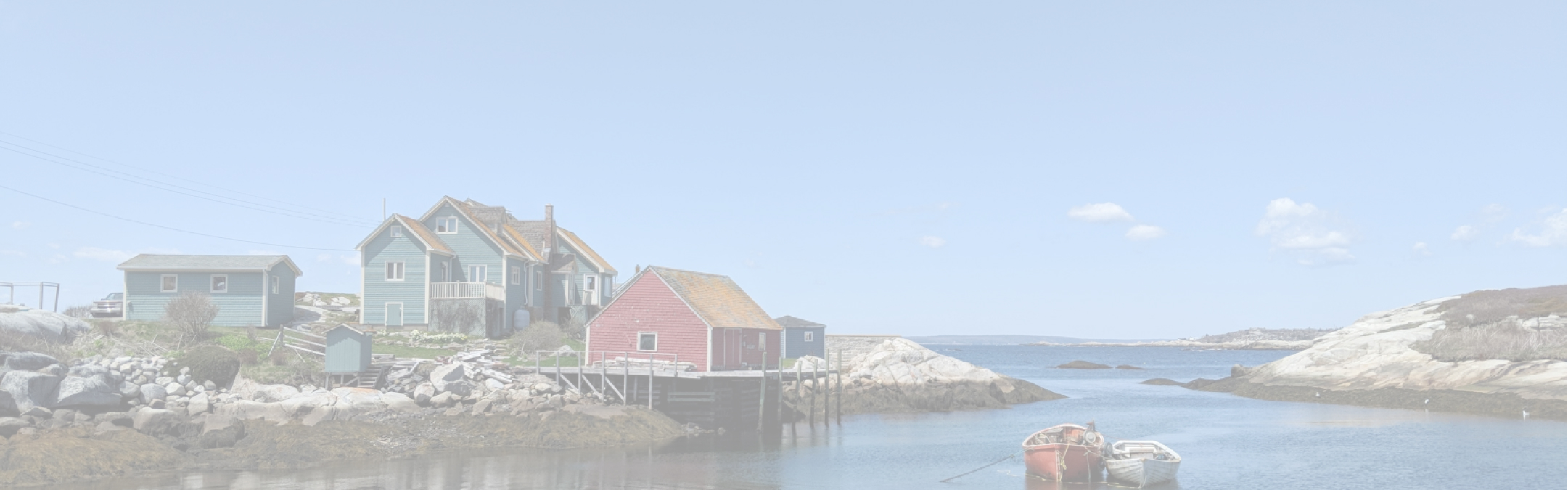 RBC Dominion Securities Nova Scotia - Business owner solutions