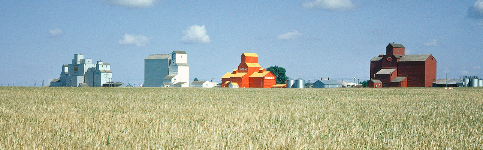 Regina, Estevan, Yorkton, Moose Jaw and Swift Current Branch of RBC ...