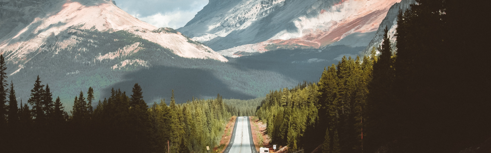 Cranbrook Branch of RBC Dominion Securities Inc. | Management team