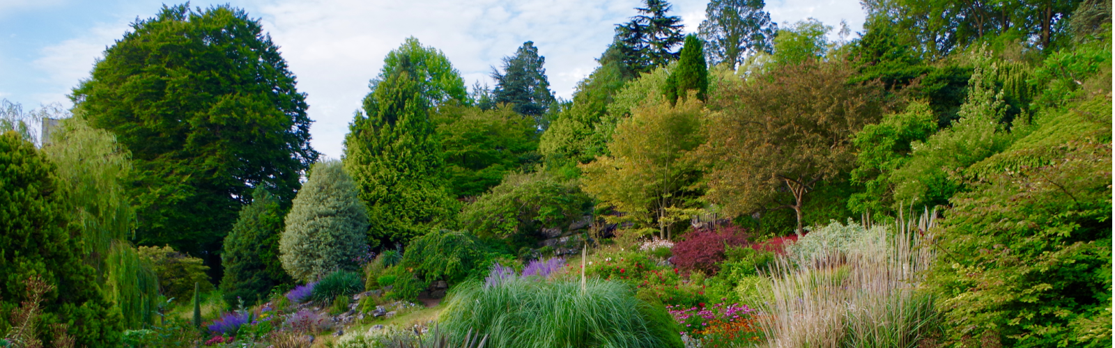 Aurora Branch of RBC Dominion Securities Inc. | Our management team