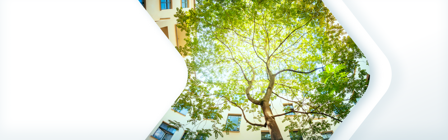 Our team | Edgington Wealth of RBC Dominion Securities Inc. | Coquitlam, BC