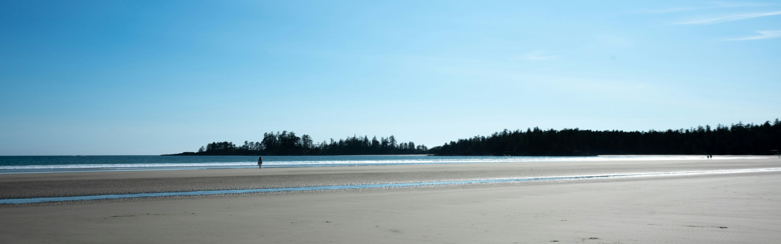 Victoria | RBC Dominion Securities - RBC partners