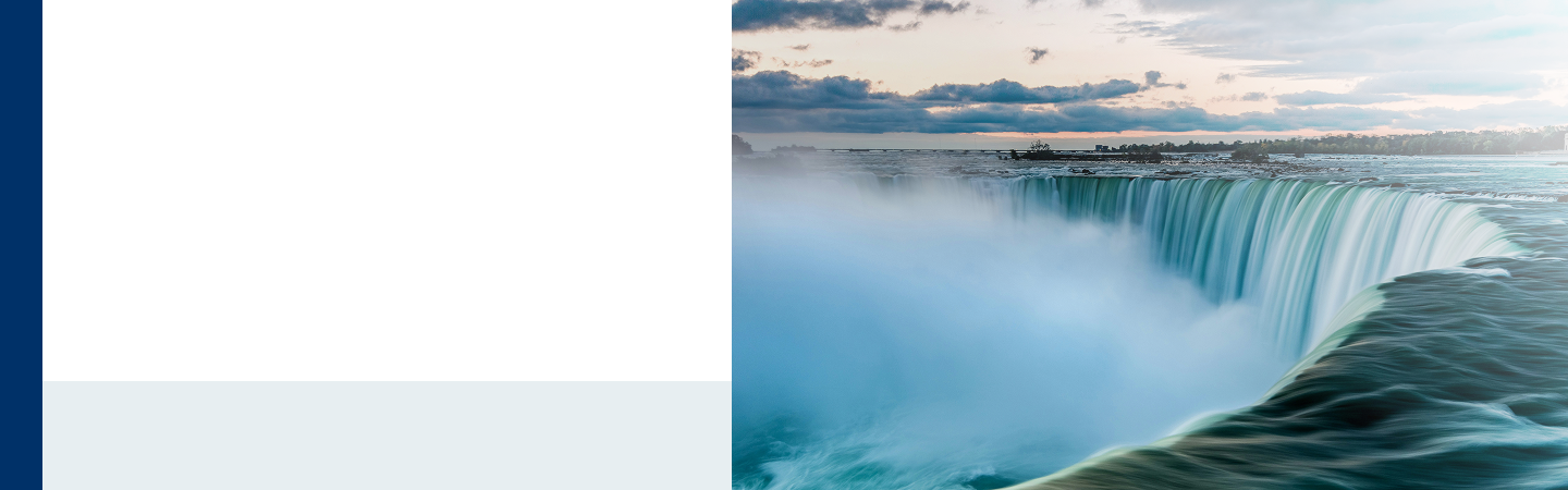 The Palahnuk Group | RBC DS | Toronto, ON - Cross-border services