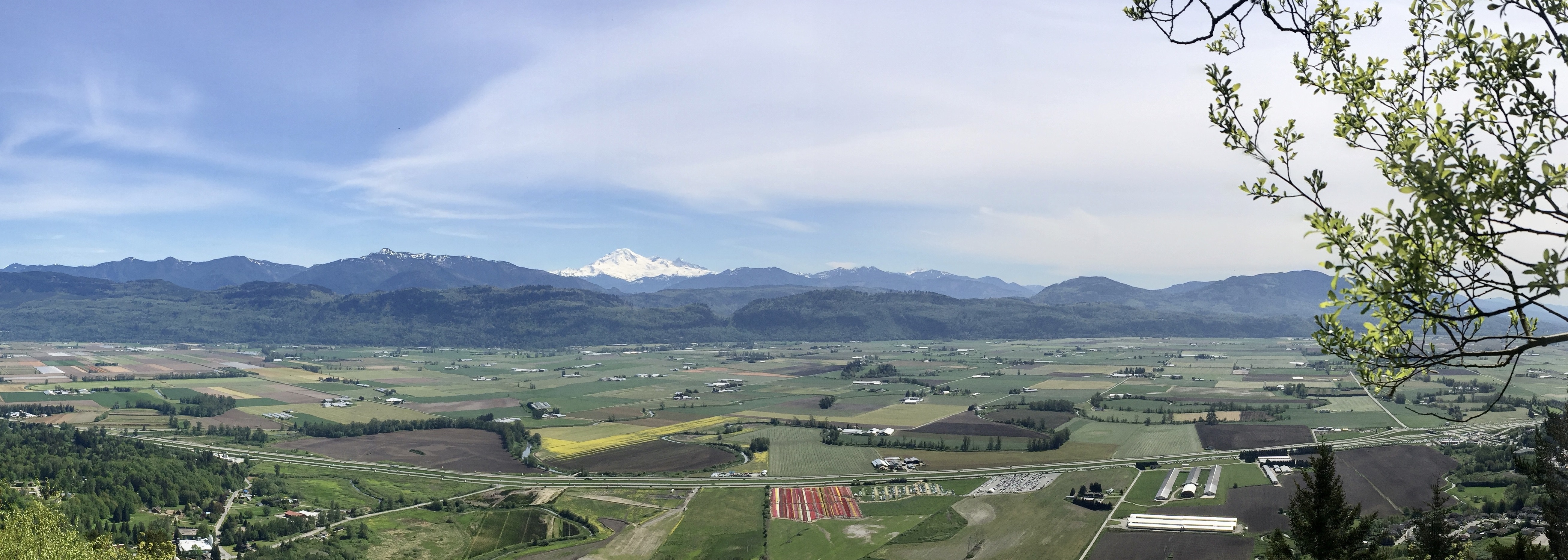 Wilson Wealth Management Group - Market Volatility 2020