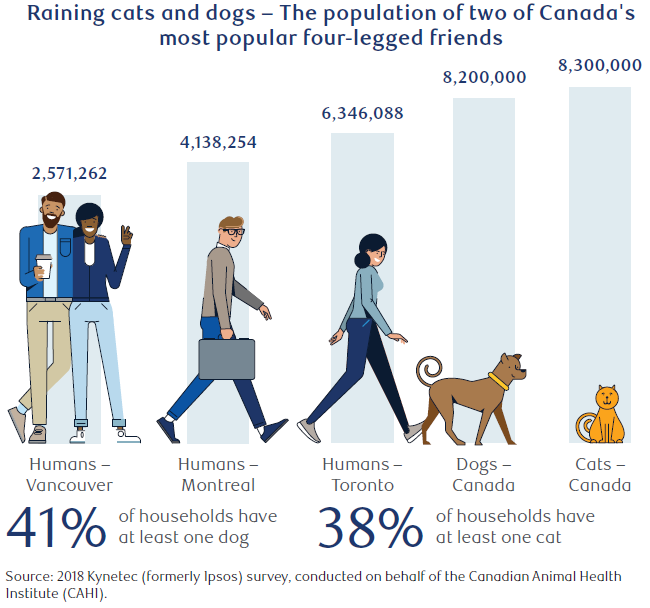 Are Cats And Dogs Considered Property